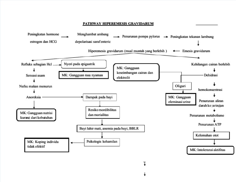 PDF 274974069 Pathway Hiperemesis Gravidarumdocx DD | PDF