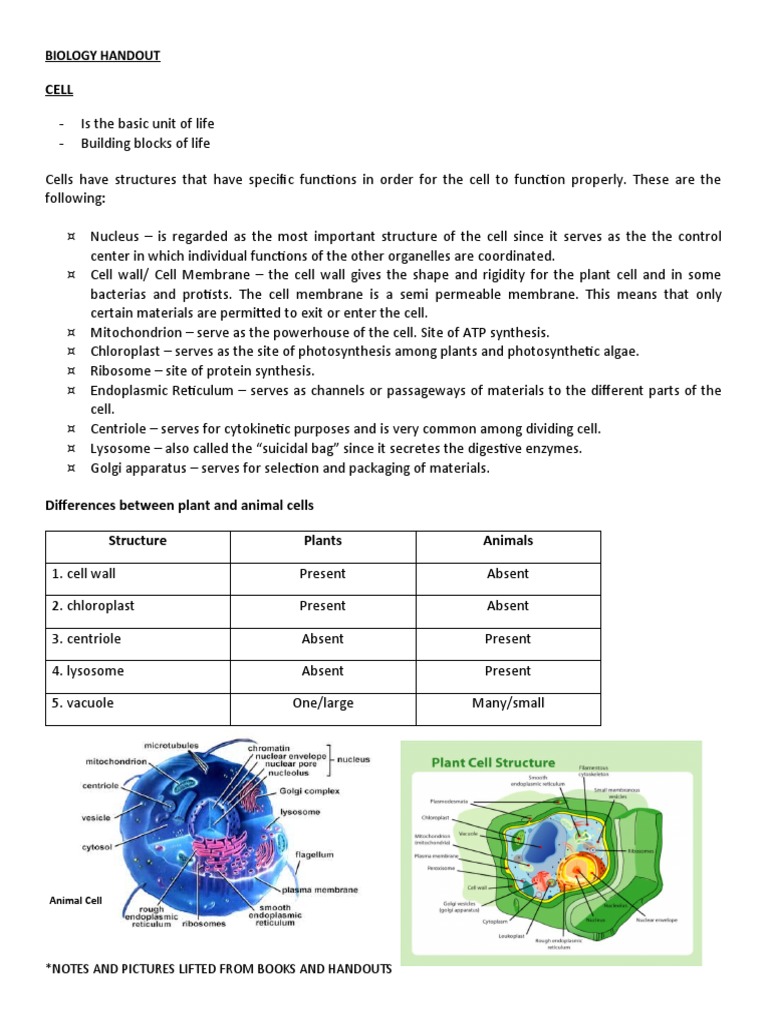 Biology Handout: Notes and Pictures Lifted From Books and Handouts ...