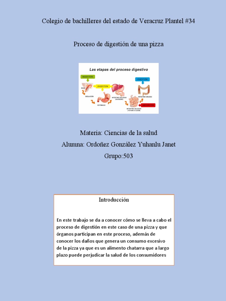 Proceso de digestión de la pizza | PDF | Digestión | Intestino delgado
