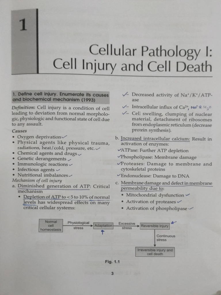 Pathology Prashant | PDF