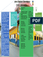 Infográfia Símbolos UAEMEX | PDF | Libros para adolescentes