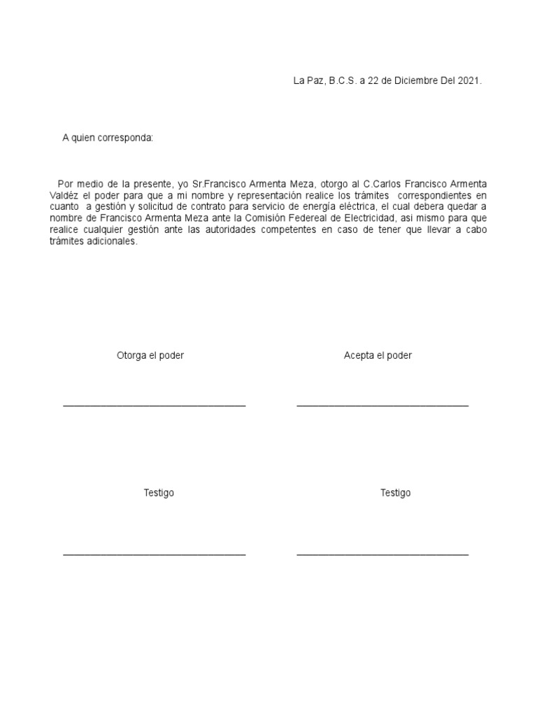 Carta Poder para CFE: Ejemplo y Formato | PDF | Derecho