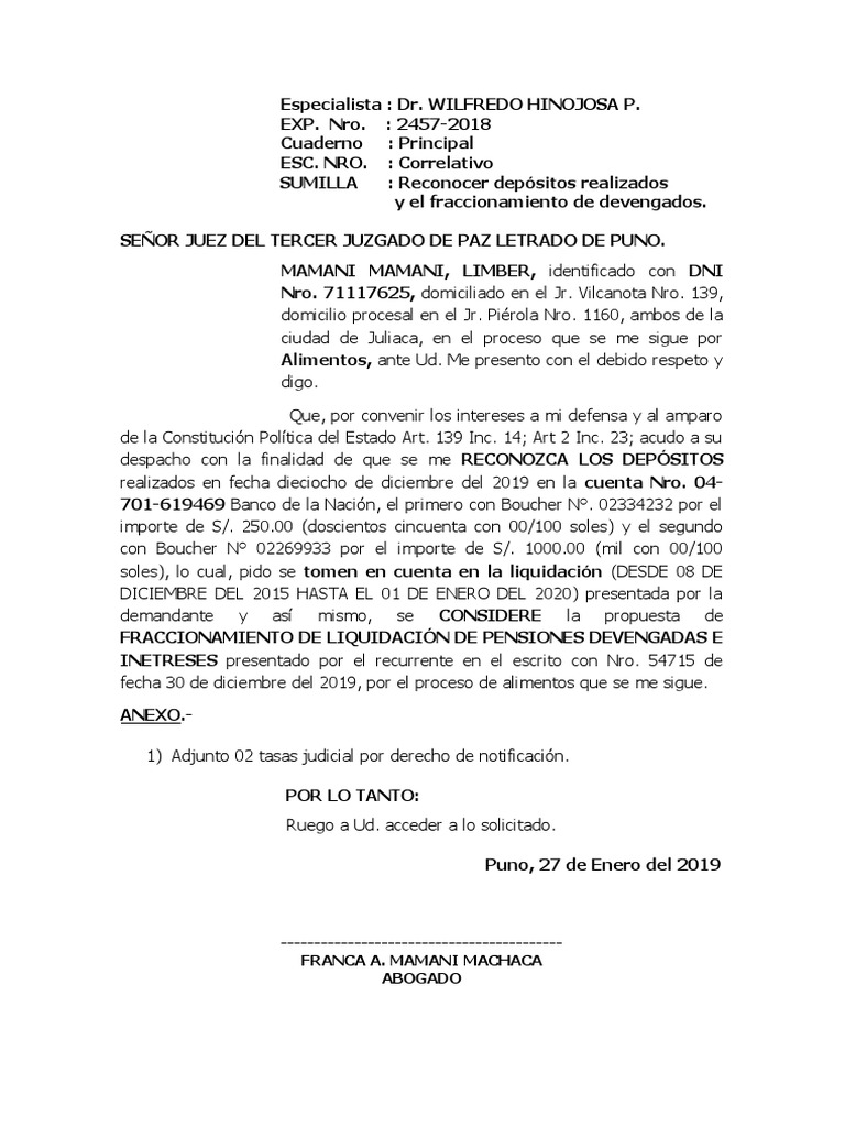 Franca A. Mamani Machaca Abogado | PDF