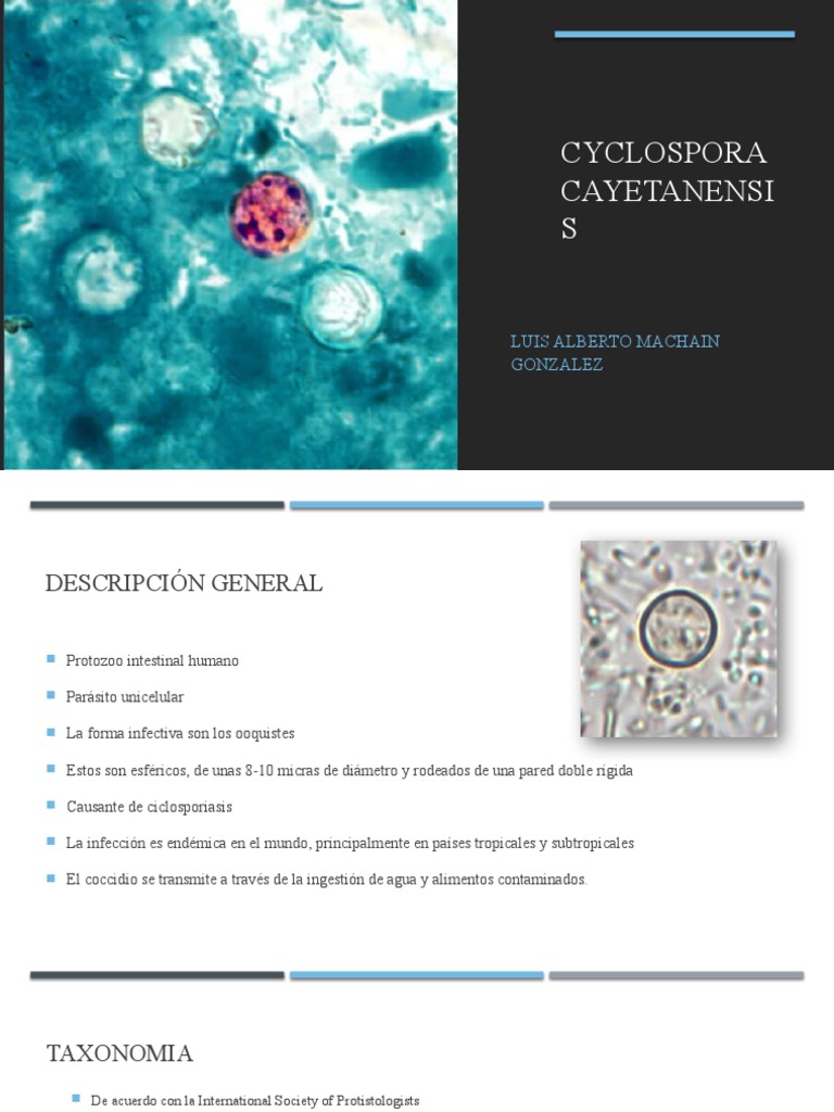 Cyclospora Cayetanensis | PDF