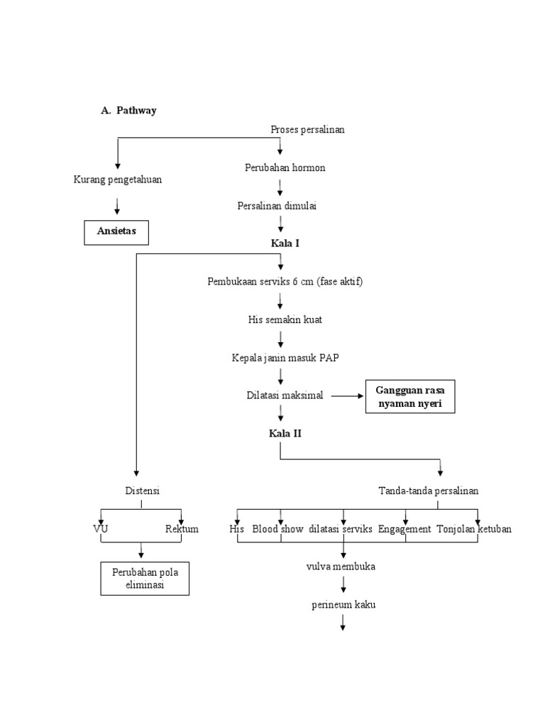 Pathway-Intranatal | PDF