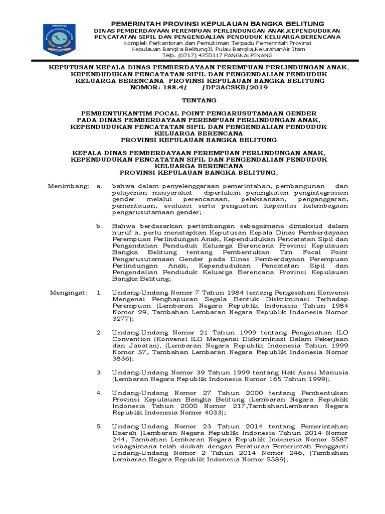 SK Gender Focal Point | PDF