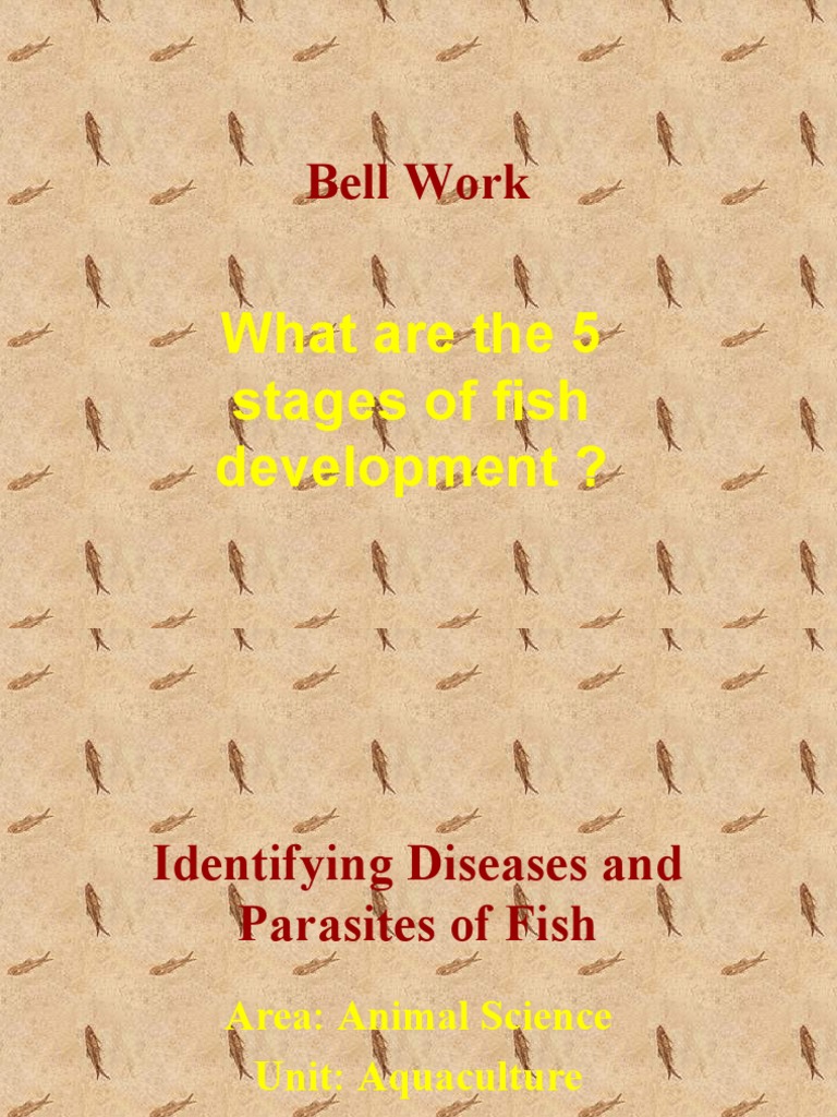Preventing Fish Pathogens: Maintaining Optimal Aquaculture Conditions ...