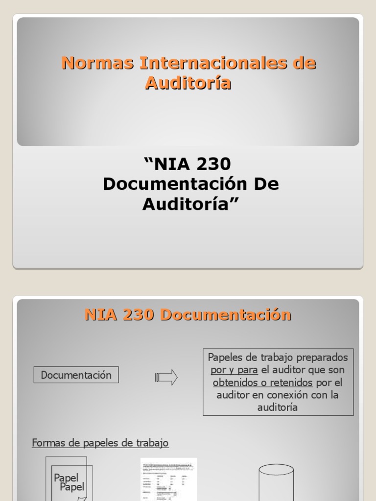 Nia 230 | PDF | Auditoría | Contralor