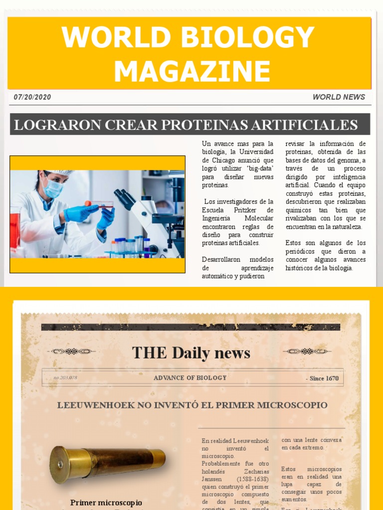 Proyecto Final - Ulises Chan Camacho - 2do Preparatoria - Primer Parcial | PDF