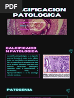 Diaz Apaza Anthony Jesus-Diascopia - Vitropresion | PDF ...