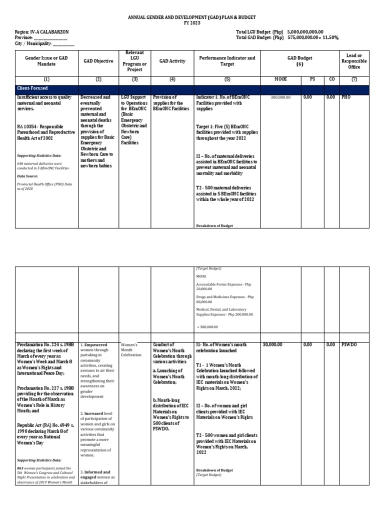 Workshop - Sample Annual GPB For LGUs (PCM Level) 2022 | PDF | Infants ...
