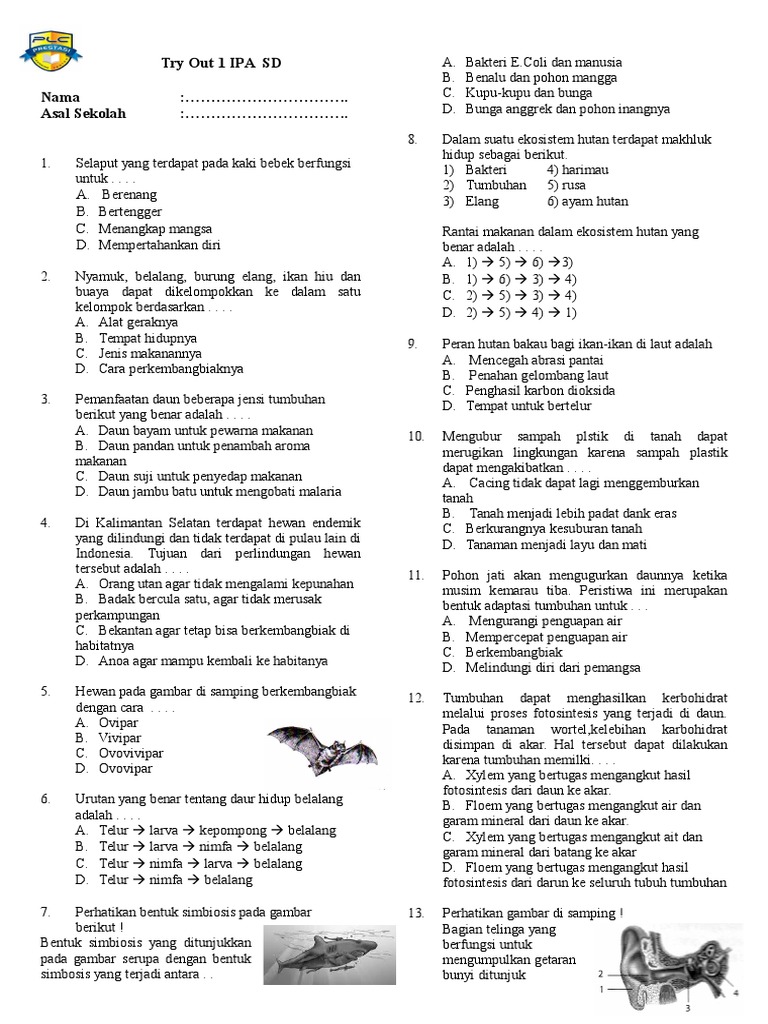 Soal Try Out IPA Kelas 6 | PDF