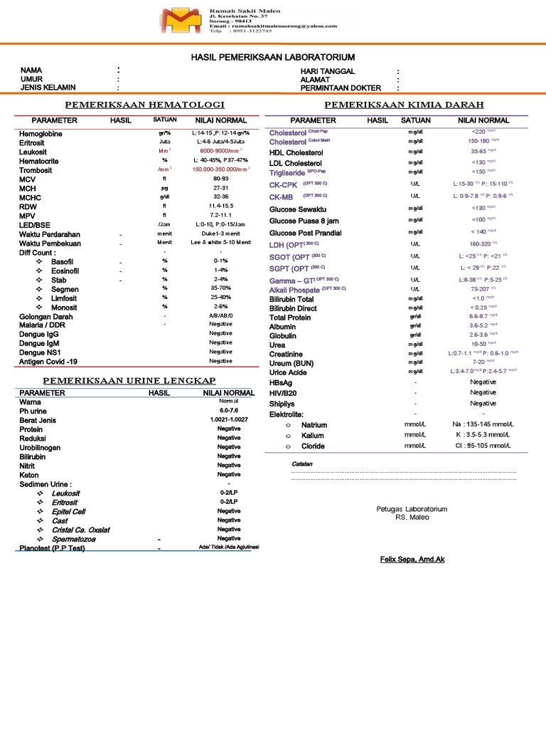 Contoh Hasil Pemeriksaan Darah Lengkap Kimia Sarah Dan Urine Rs. Maelo ...