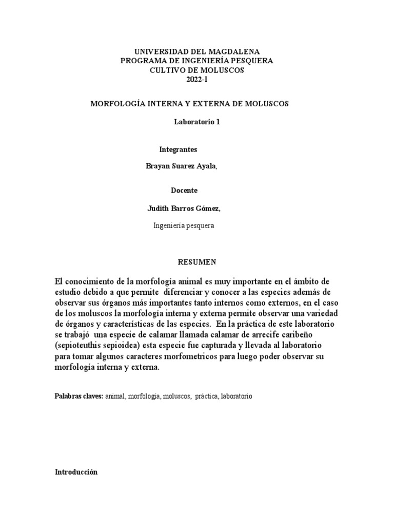 LABORATORIO DE MORFOLOGIA INTERNA Y EXTERNA (Brayan Suarez) | PDF ...