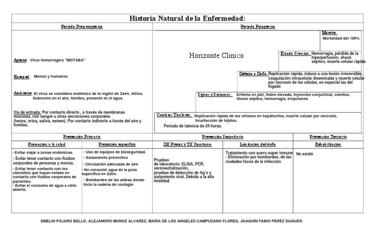 Prevención y Control del Virus MOTABA | PDF | Virus | Infección