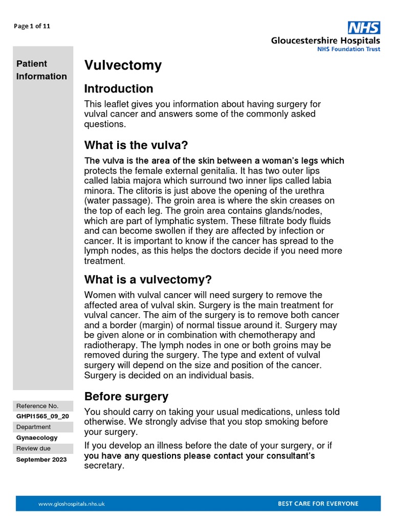 Vulvectomy: Patient Information Patient Information | PDF | Labia ...