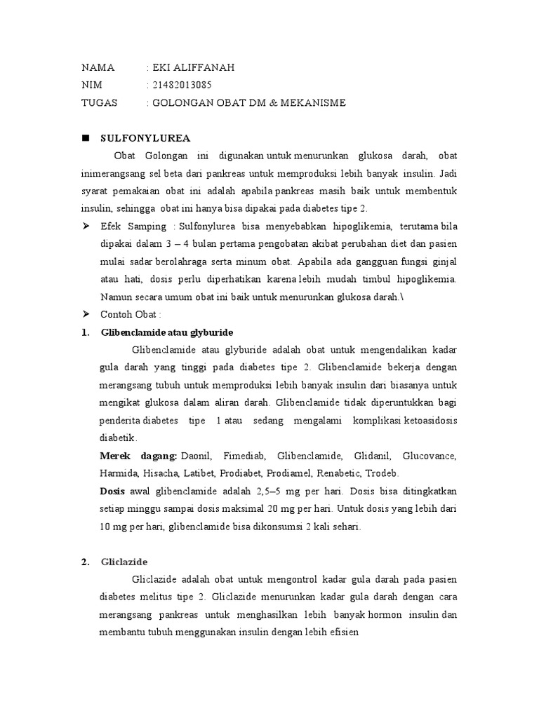 Tugas Mekanisme Obat DM | PDF