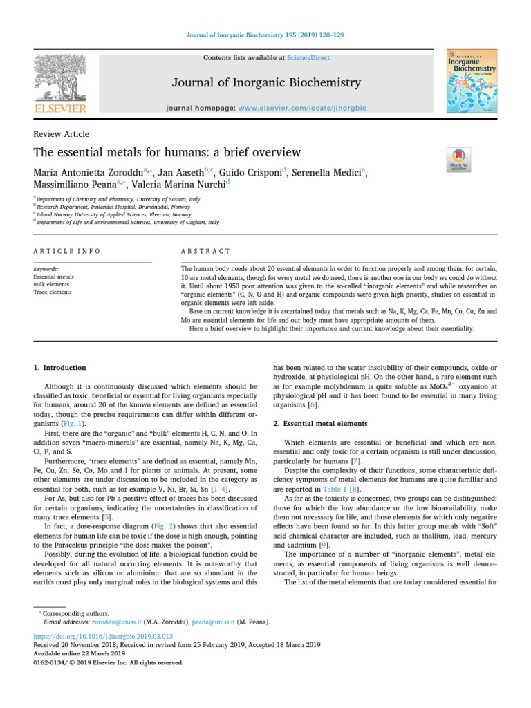 The Essential Metals For Humans, A Brief Overview | PDF | Iron | Magnesium