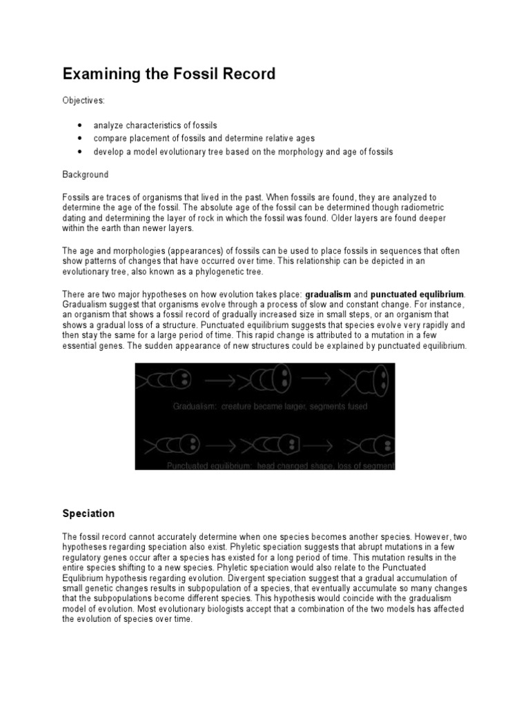Analyzing Fossils and Evolutionary Models | PDF | Evolution | Species