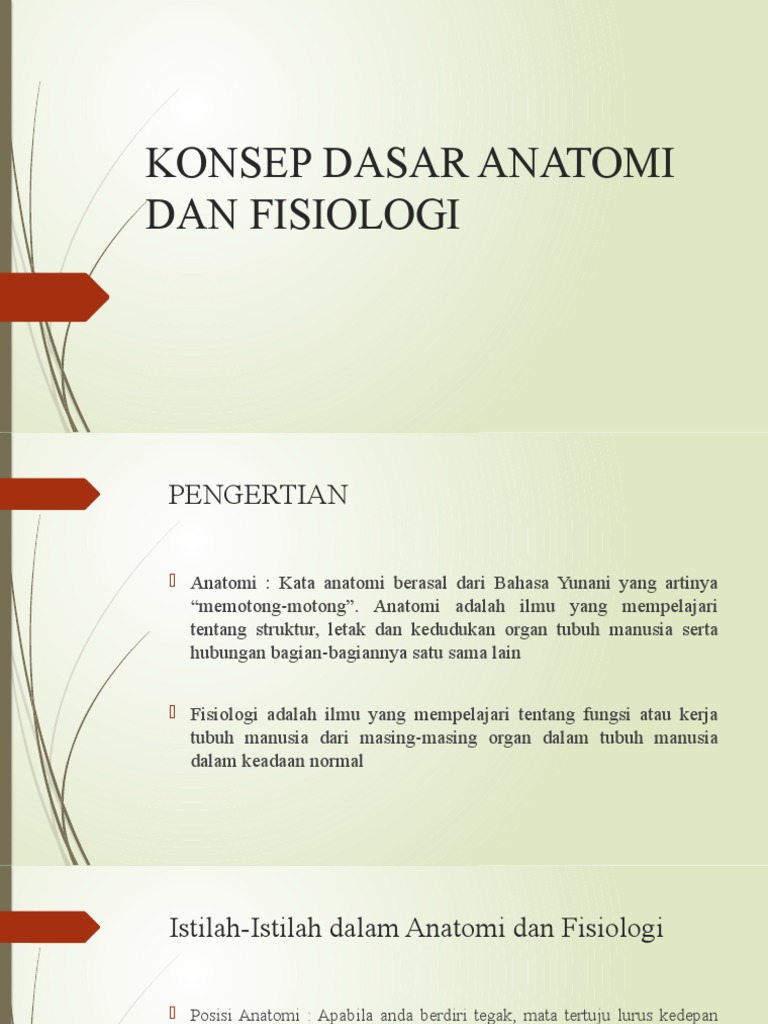 Konsep Dasar Anatomi Dan Fisiologi | PDF
