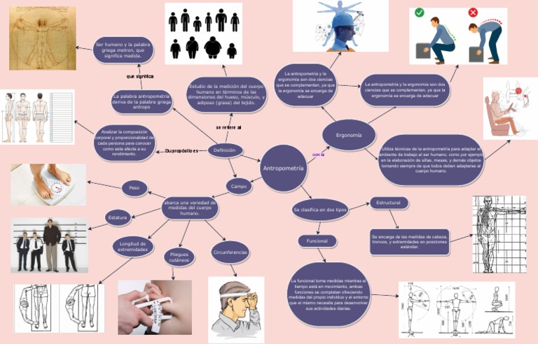 Mapa Conceptual Antropometria | PDF | Antropometría | Factores humanos y ergonomía