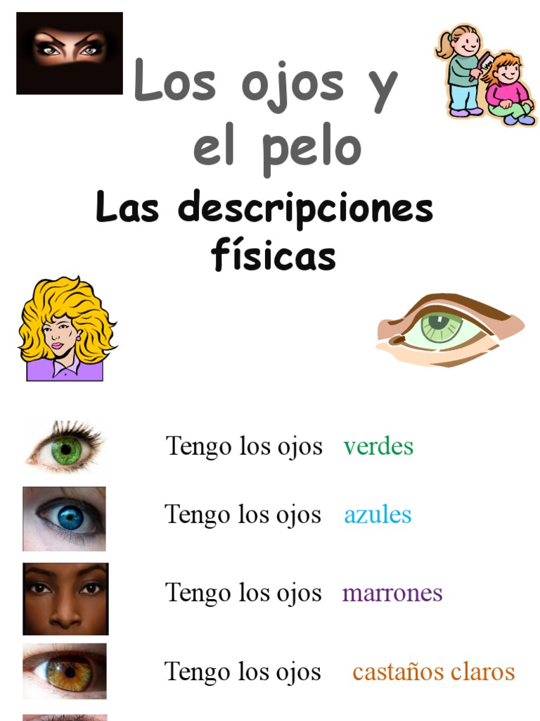 Los Ojos y El Pelo | PDF | Pelo | Cuerpo humano