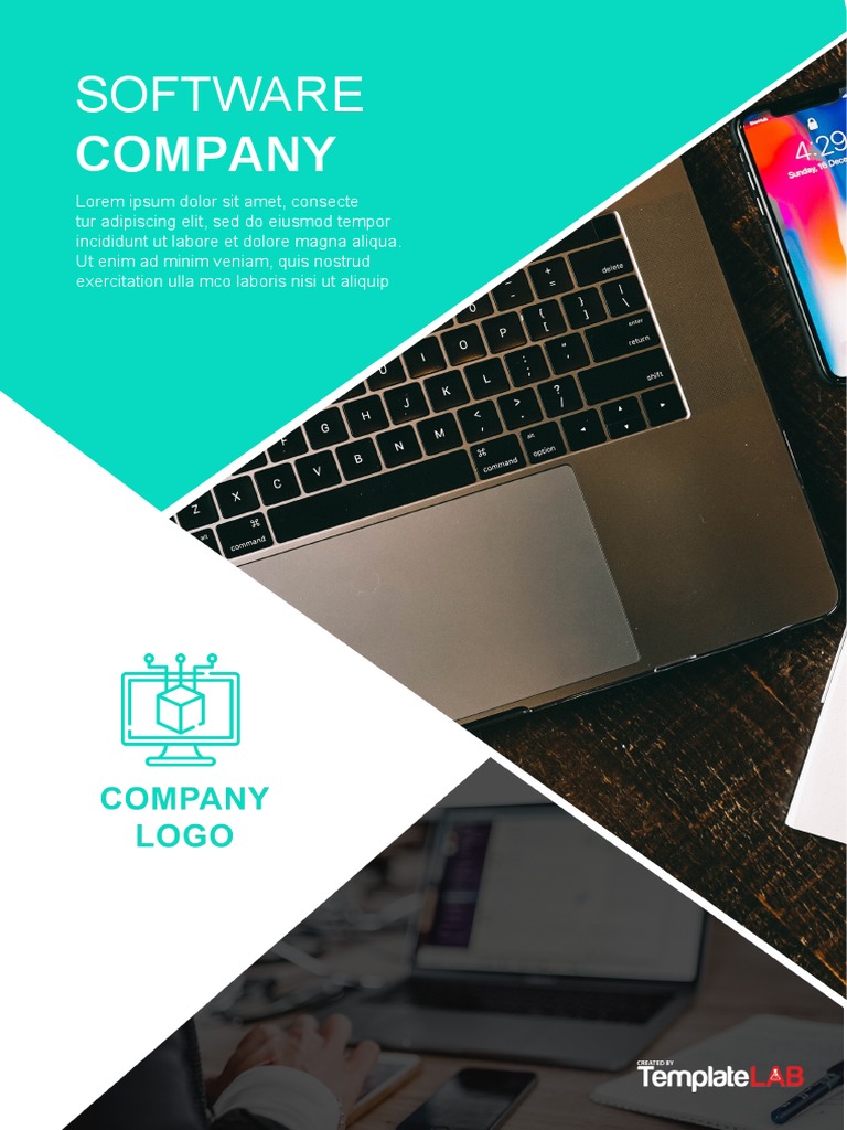 Software Company Profile | PDF