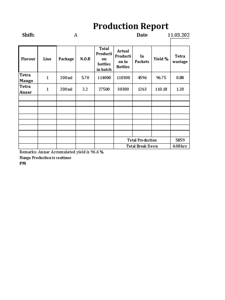 daily-production-report-pdf
