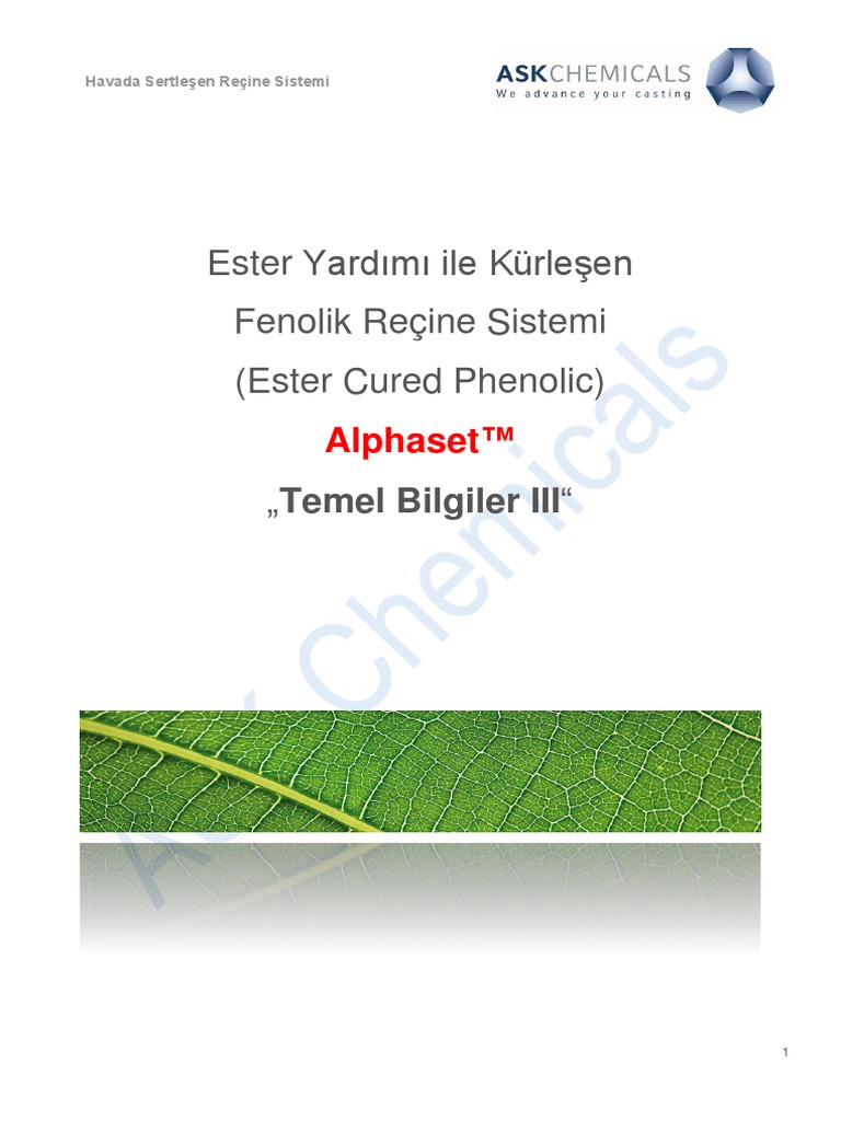 ECP (Alphaset) Temel Prensipler III - ASK Chemicals | PDF