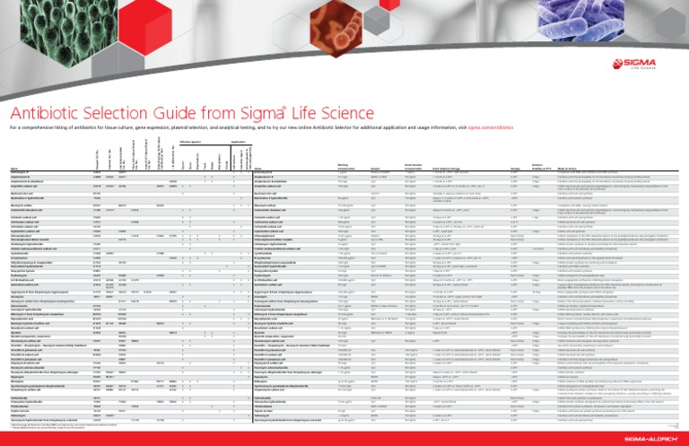 Antibiotic Selection Guide Poster | PDF | Ribosome | Life Sciences