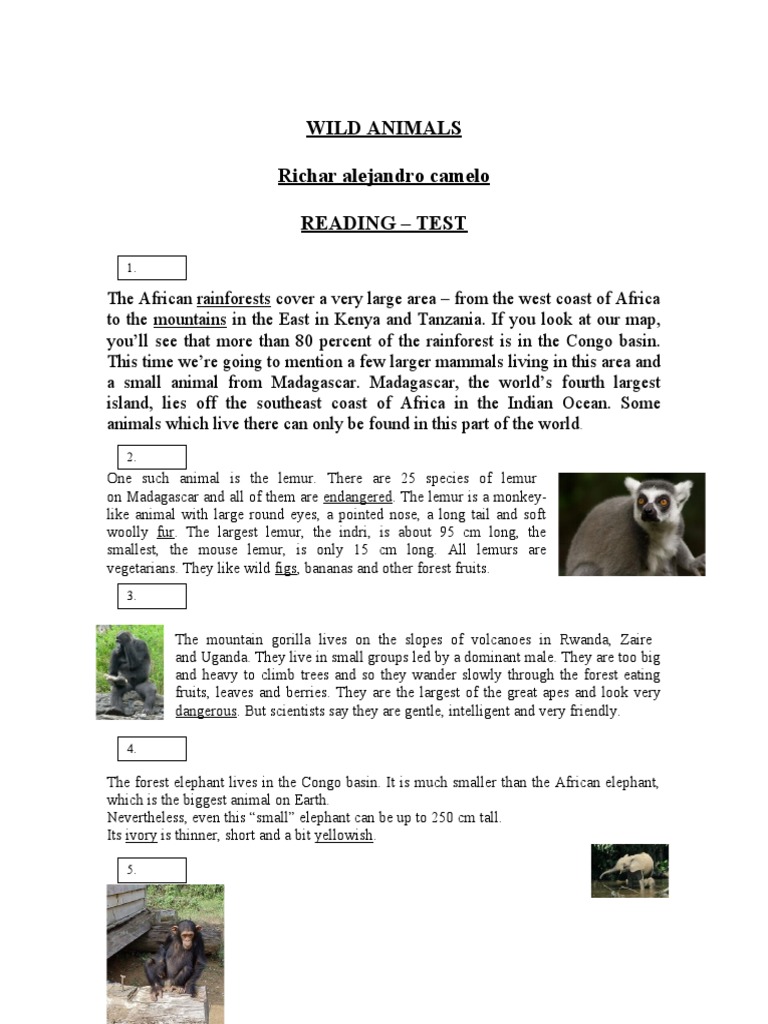 Wild Animals - Reading Comprehension # 3 Bull Module 2 | PDF ...