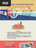 Chinese Mestizos in Philippine History | PDF | Ethnic Groups | Ethnicity