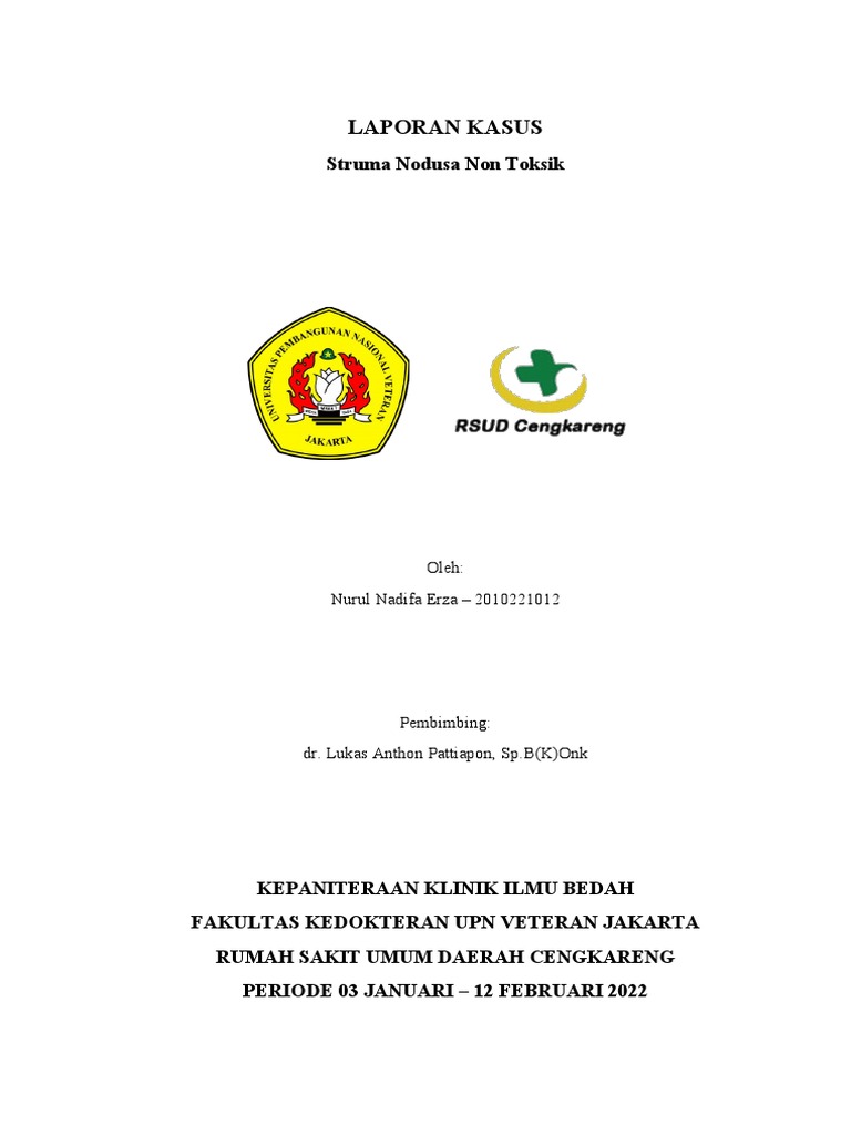 Nurul Nadifa Erza - 2010221012 - SNNT | PDF | Kesehatan Holistik