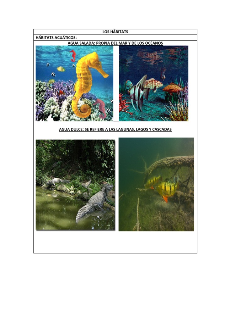 Animales y Sus Hábitats | PDF