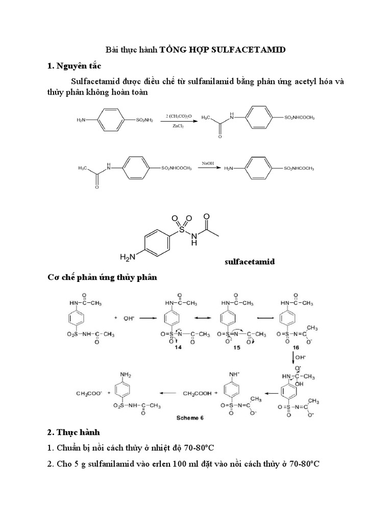 Giáo Trình T NG H P SULFACETAMID | PDF