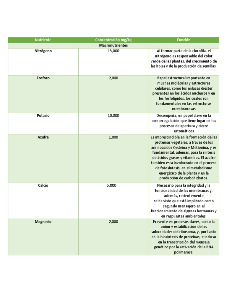 Tabla de Macro y Micro Nutrientes | PDF | Nutrientes | Proteínas