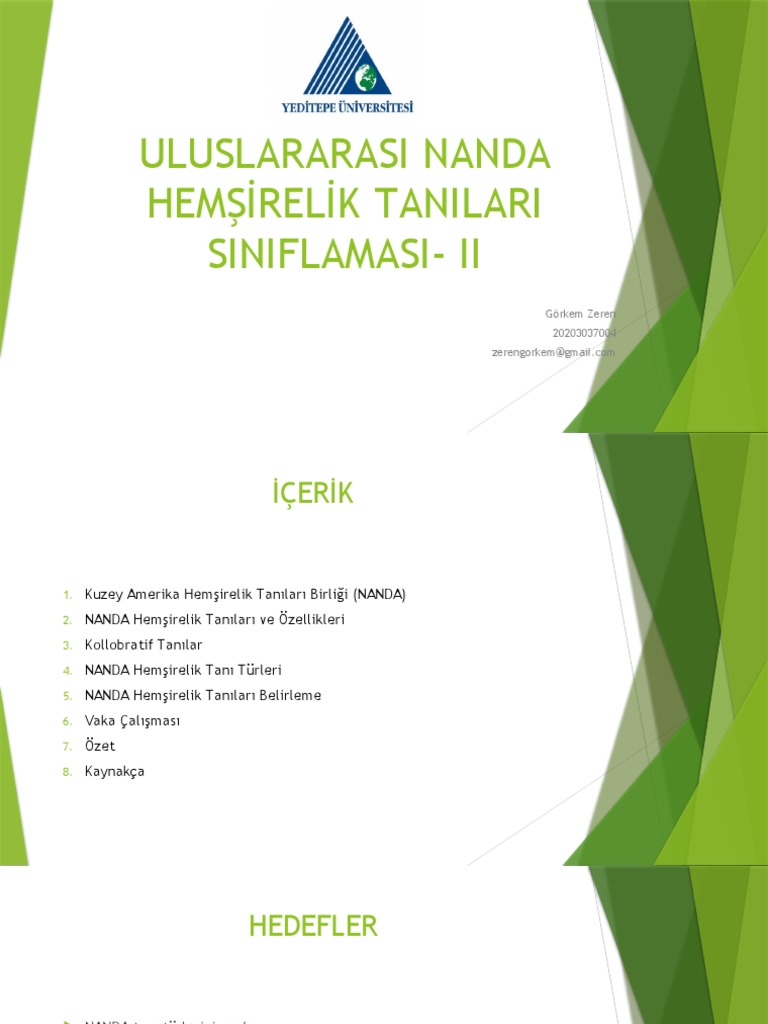 Uluslararasi Nanda Hemşi̇reli̇k Tanilari Siniflamasi- II | PDF