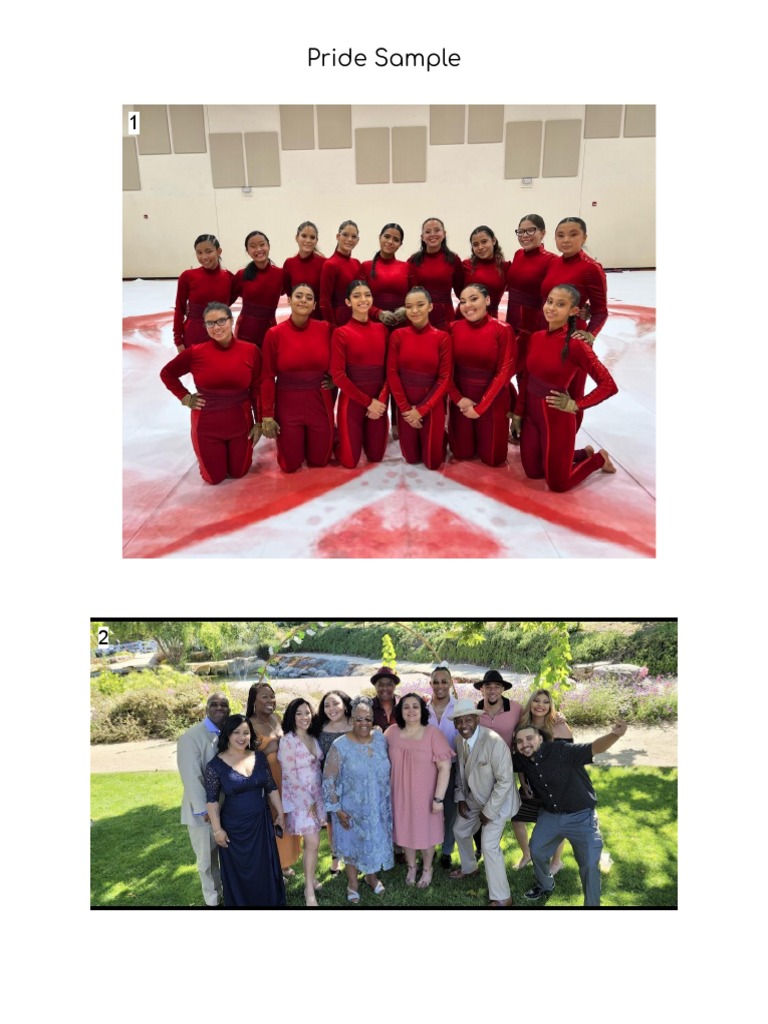 Pride Sample | PDF | Self-Improvement | Lifestyle