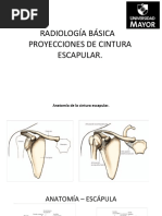 ANEXO TEMA 3 RODILLA-Fosa Intercondilea | PDF | Rodilla | Pelvis