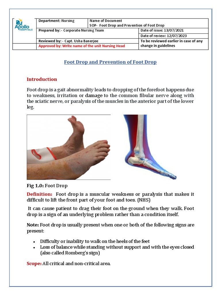 SOP Foot Drop and Prevention of Foot Drop PDF July | PDF | Foot | Medicine