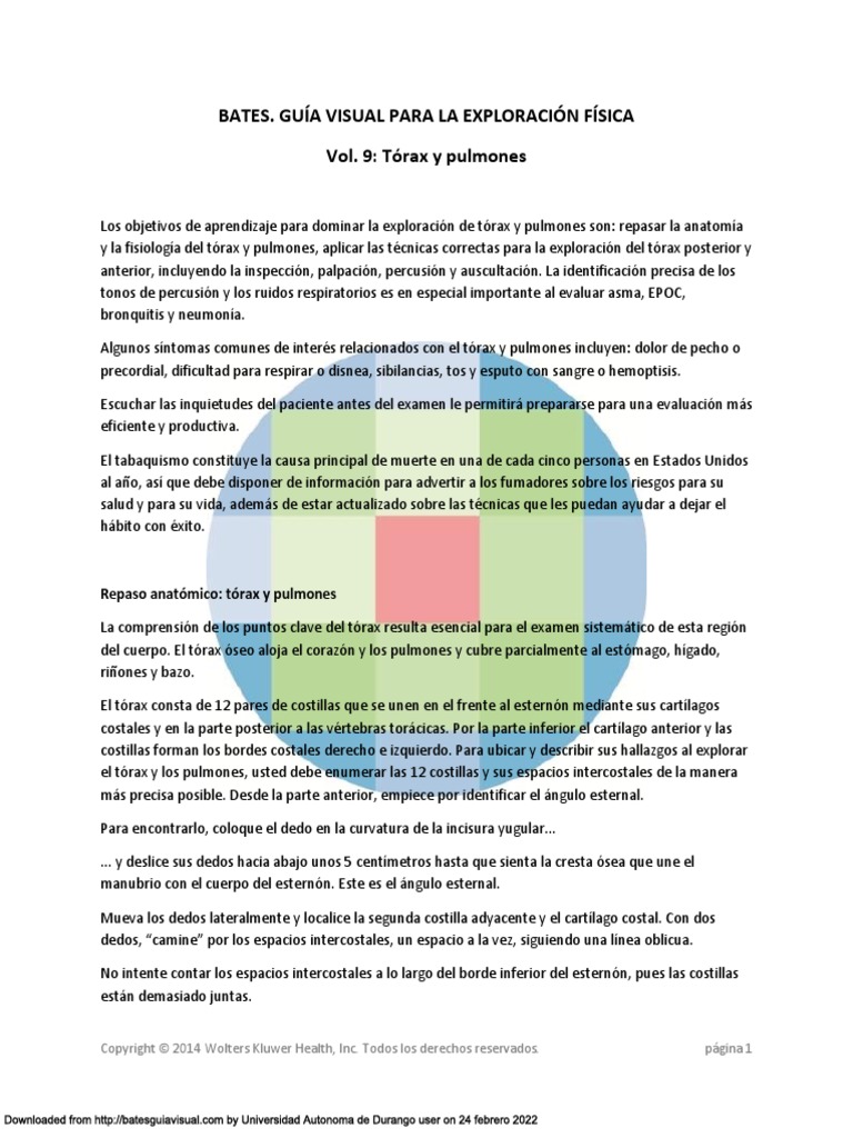 Bates - 09 - Thorax and Lungs - Es | PDF | Pulmón | Tórax