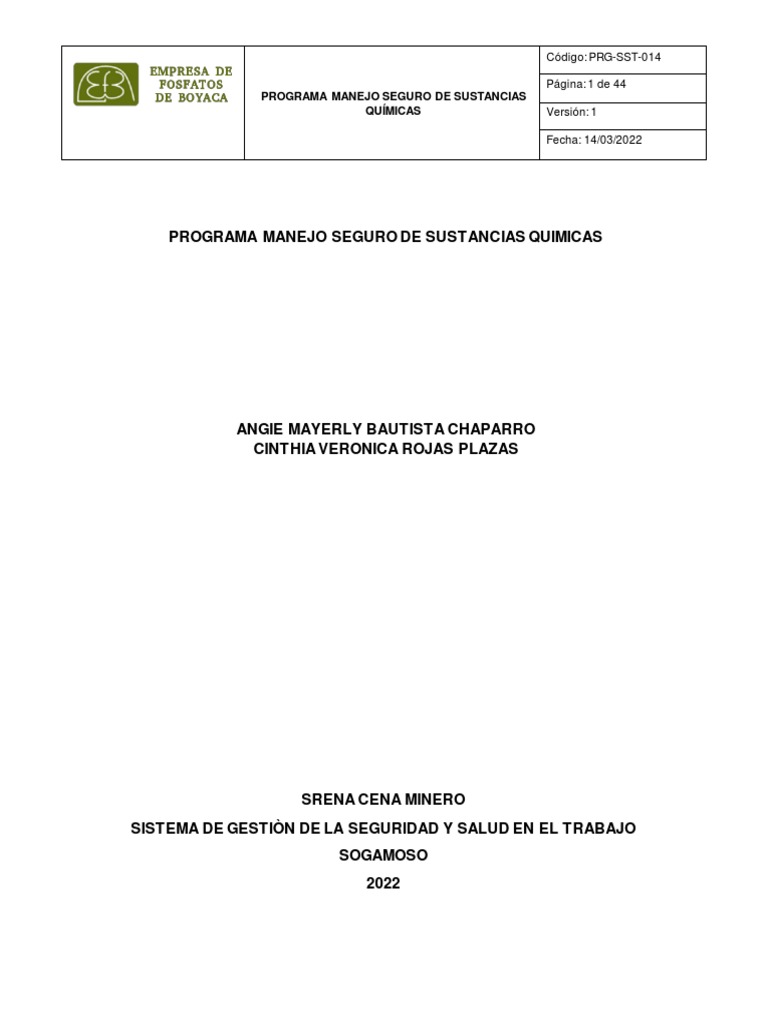 Manejo Seguro de Sustancias Químicas | PDF | Combustión | Gases