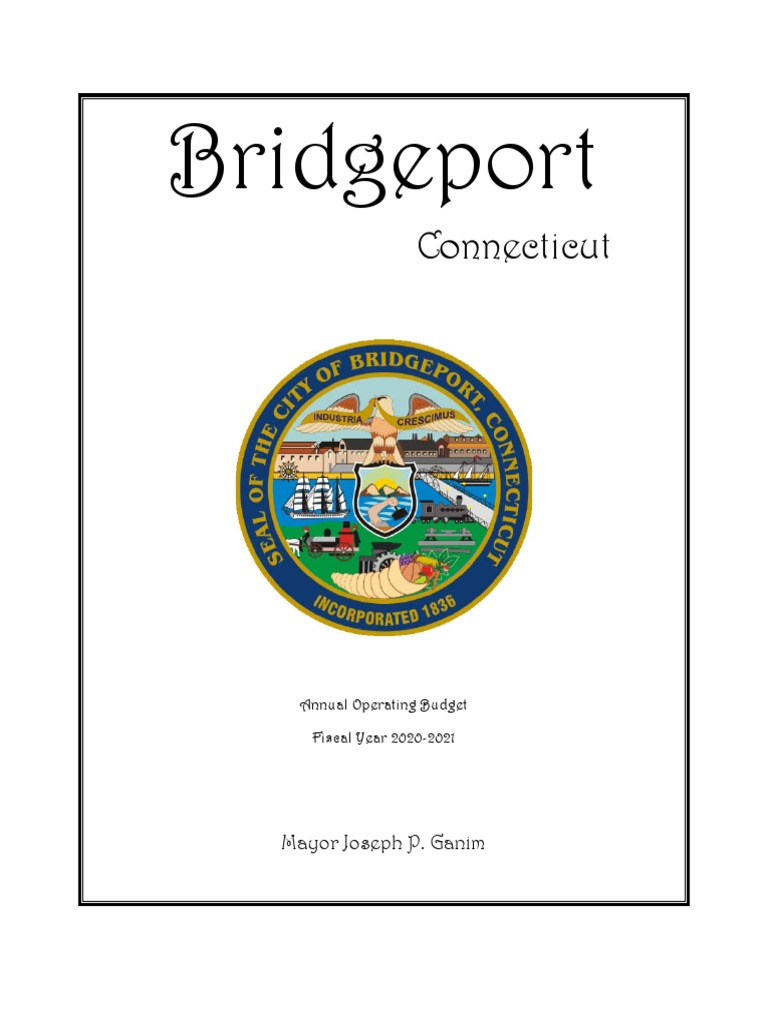 City Budget Fy21 | PDF | Fund Accounting | Pension