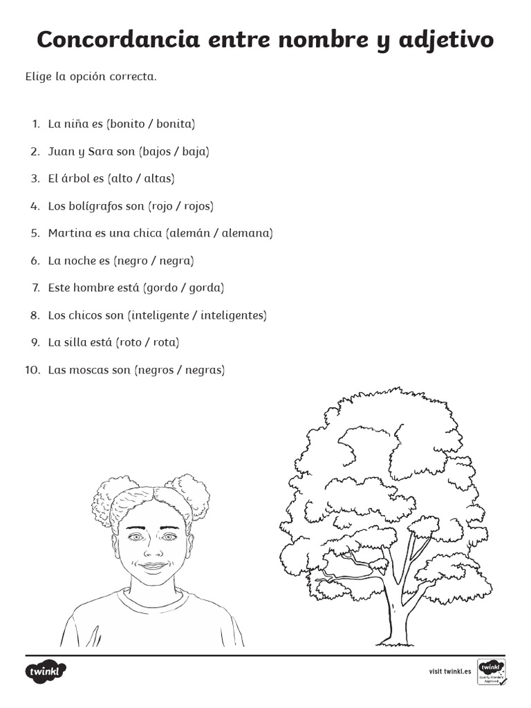 Guía Concordancia Entre Sustantivo y Adjetivo | PDF