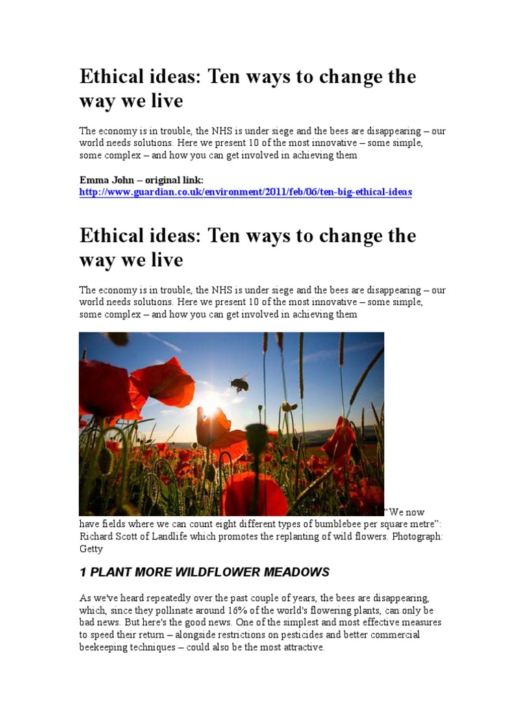 10 Ethical Ideas for a Better World | PDF | Microcredit | Economies
