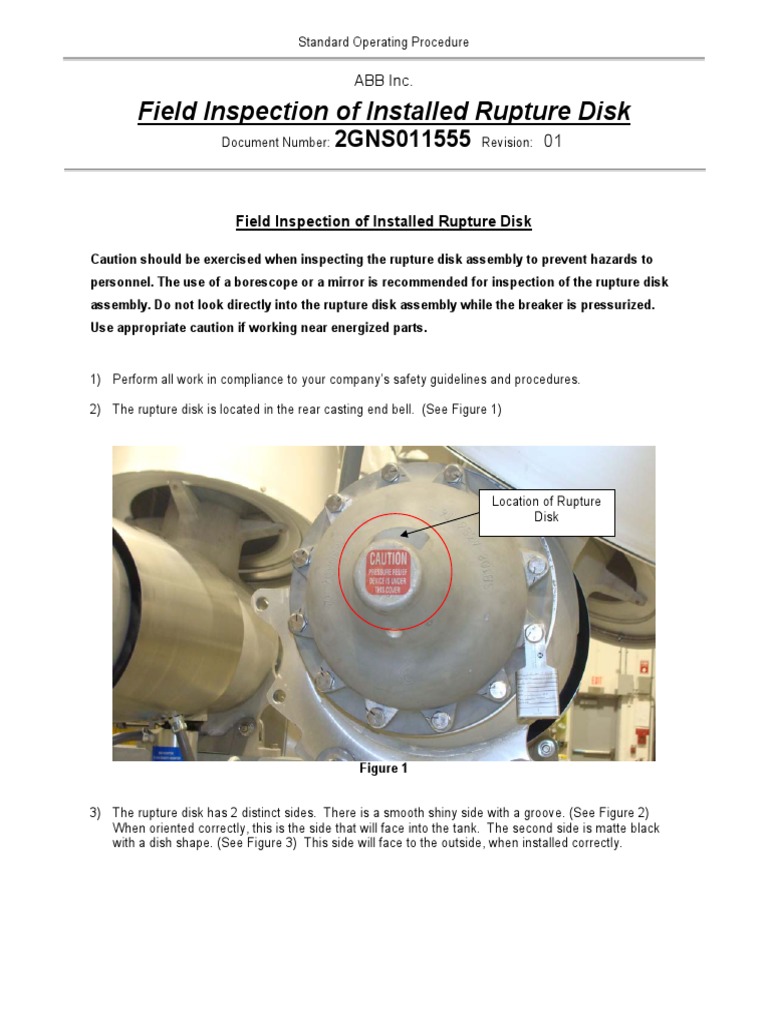 Field Inspection of Rupture Disk SOP | PDF | Electricity | Equipment