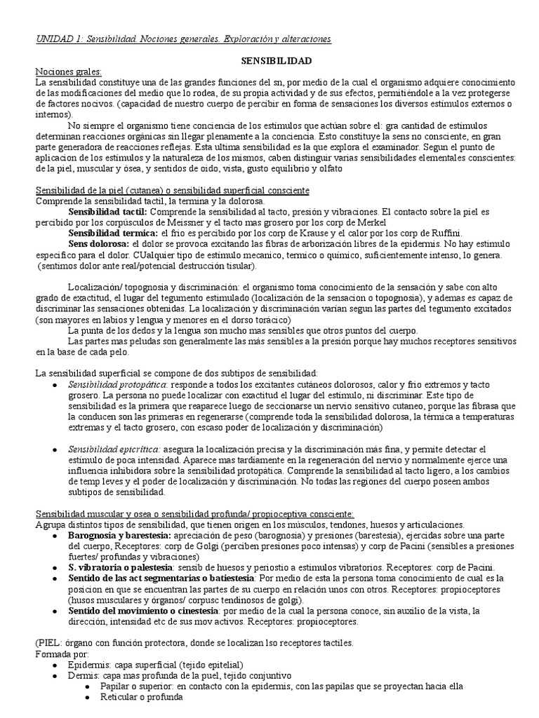 Neuro Final Final Final | PDF | Percepción visual | Sistema nervioso