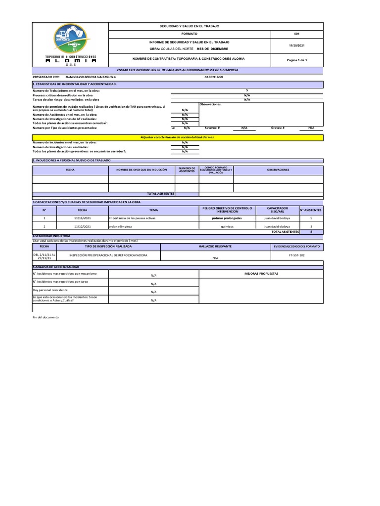 Guia SST Informe SST Colinas | PDF