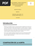 ESCALA DE ARMSTRONG (Todas Las Cat) | PDF