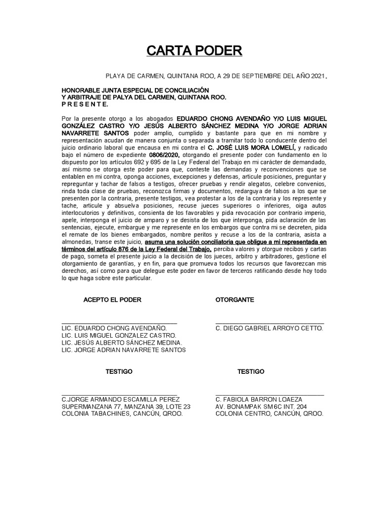 Carta Poder Diego Arroyo Cetto | PDF | Justicia | Crimen y violencia